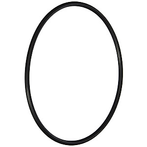 Hayward AXW542 O-Ring Replacement for Leaf Canisters Series W530 and W560