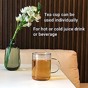 emoi Glass Tea Cup with Infuser and Lid, 15oz/450ml Tea Mug with Tea Steeper and Bamboo Lid, Easy to Use, Ideal for Tea Lover to Make a Great Cup of Tea at Home or Office