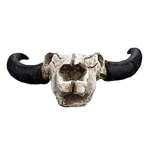 Tvoip 1Pcs Resin Wall Hanging Horn Skulls Steer Bull Head Sculpture Long Horn Cow Skull Wall Hanging Mounted Longhorn Steer Resin Wall Deco (NO.1)