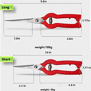 Stainless Steel Pruning Shears 7.8 inch Fruit Trees Bonsai Sharp Garden Scissors Tool
