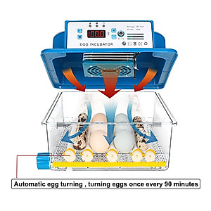 Vevitts 16 Eggs Incubators for Hatching Egg with Automatic Turner, Fahrenheit Temperature Control Chickens Quail Egg Incubator with Led Candler, 12V/110V/220V Incubators Kit for Farm Poultry