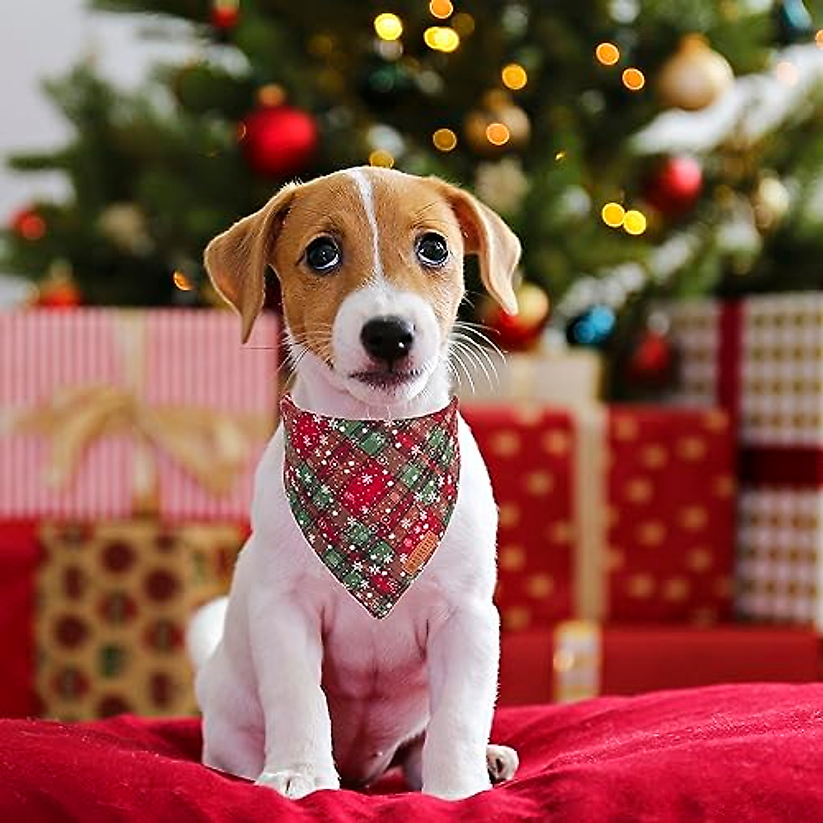 ADOGGYGO 2 Pack Dog Bandanas Christmas, Stylish Plaid Snowflake Dog Scarf, Premium Durable Fabric, Multiple Sizes Offered, Christmas Bandanas for Small Medium Dogs Pets (Small, Red)