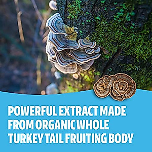 FreshCap Turkey Tail Mushroom Supplements for Immune & Digestive Health (120 Capsules)