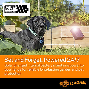 Gallagher S6 Solar Electric Fence Charger | Protect Your Backyard and Pets | Solar Lithium Technology, 0.06 Stored Joule Energizer | Unique Post Mounting System | Portable and Super Tough