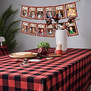 LaVenty Lumberjack First Birthday Banner Lumberjack Monthly Photo Banner Lumberjack First Year Photo Banner 1st Birthday Photo Banner Lumberjack Banner