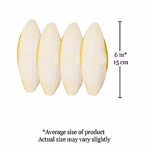 SunGrow 4 Pack Cuttlefish Bones for Cockatiels, Turtles, Shrimp, Dog Calcium Supplement, Cuttlebone Cage Holder Included