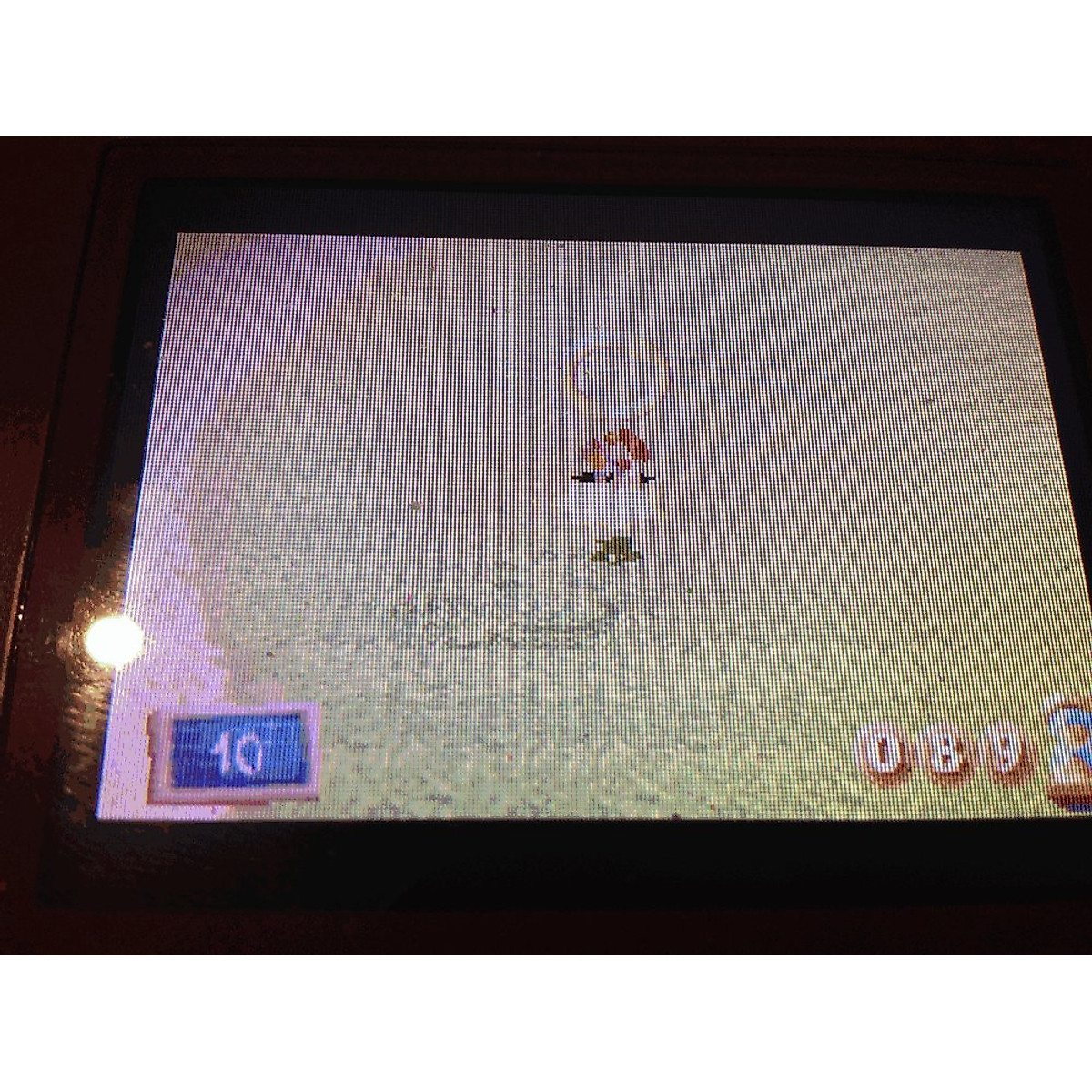 Harry Potter Quidditch World Cup