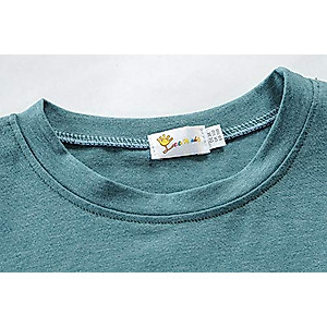 Toddler Baby Boys Monster Truck Shirts Flip Sequins Tees Short Sleeve Kids Fashion Tops for 2t 3T