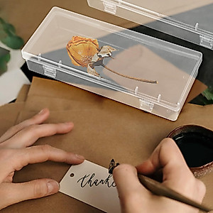 Fansunta 10 Pcak 6'' Plastic Storage Boxes, Small Storage Containers with Hinged Lids, Rectangle Clear Boxes for Beads, Jewelry, Game Pieces, Pens and Crafts Items(6.2'' x 2.5'' x 1.2'')