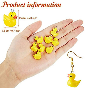 Jetec 40 Pieces Slime Charms Ducks Mini Resin Ducks Resin Duck Charms Pendants Findings Charm DIY Duck Pendants for Bracelet Necklace Earrings Keychain Crafts (40 Pieces)