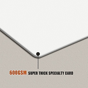 Trading Card Dividers for BCW 800 Card Storage Box - 100 PCS