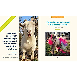 You've Goat This: Wisdom to Get You Through the Good, the Baaad, and Everything in Between