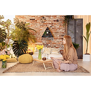 AMERICA EMPIRE Meditation Triangle Shelf for Crystals | Triangle Wall Shelf. Crystal Shelf Display for Stones. Witchy Decor for The Home, Crystal Holder. Crystal Display Shelf | Witchy Home Decor