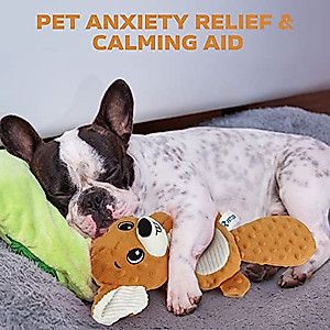 petizer Plush Squeaky Dog Toys, Stuffed and Crinkle Dog Chew Toys, Interactive Toys for Puppies, Small, Medium and Large Dogs, Cute Squirrel and Raccoon, 2 Pack