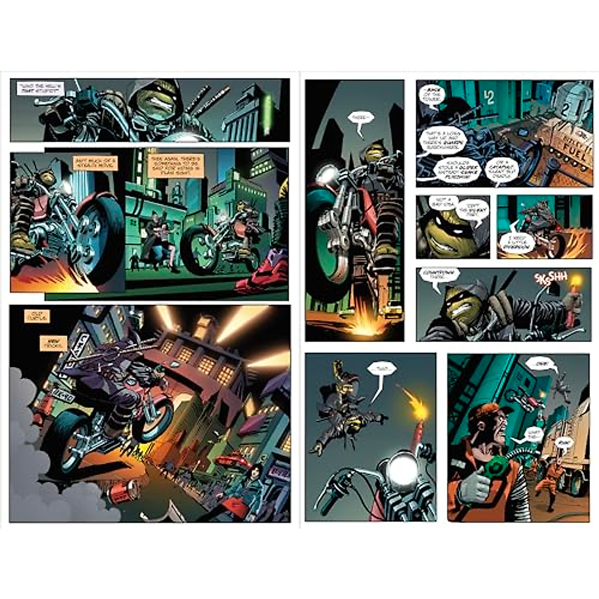 Teenage Mutant Ninja Turtles: The Last Ronin