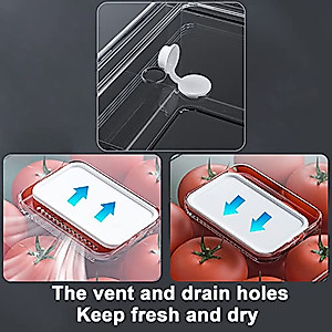 IJOLLEY Fridge Organizer, Pantry Organization and Storage, Refrigerator Organizer Bins, Stackable Pull-Out Drawer Containers for Kitchen Cabinet Closet Bathroom Office Cosmetic (2 Pack Large)