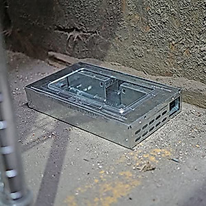 Southern Homewares - SH-10059-2PK Itrap Multi-Catch Clear Top Humane Repeater Mouse Trap, 2 Pack