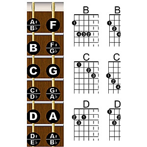 Left Handed Guitar Fretboard & Chord Chart - Instructional Poster for Left Hand Beginner 11"x17" Easy | A New Song Music