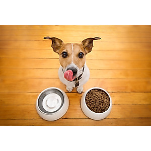 DrFormulas Probiotics for Dogs & Puppies Pets Diarrhea Treatment | Flavorless, Pre-dosed, 23 Premium Nexabiotic Probiotic for Pets with Saccharomyces Boulardii, Lactobacillus Acidophilus, 30 Doses