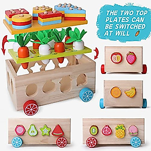 BEAUAM Toddlers Montessori Educational Toys for Boys 2 3 4 Year Old Girls, Wood Shape Classification Toys for Gifts for Children 2-4, Wood Preschool Carrot Harvest Game