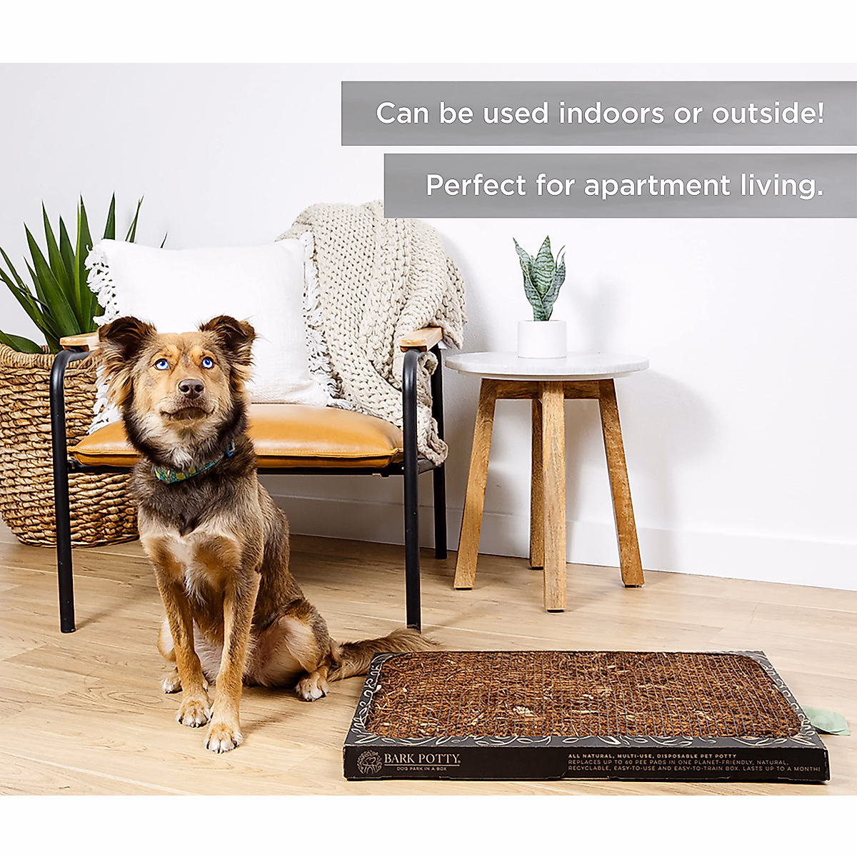 Bark Potty Disposable Dog Potty - Multi-Use, Odor Neutralizing, Non-Leaking - Lasts for Weeks - Indoor/Outdoor