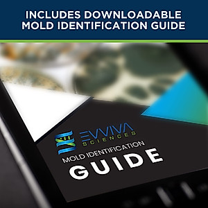Evviva Sciences Mold Test Kit for Home - 5 Simple Detection Tests w/Optional Lab Analysis (Extra Fee), Test HVAC System, Home Surfaces, & Indoor Air Quality - Downloadable Mold Information Guide