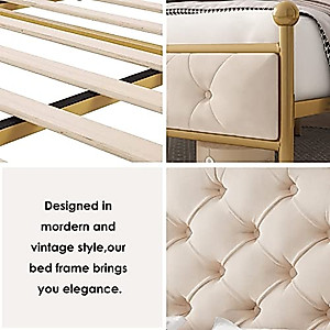 HIFIT Queen Size Platform Bed Frame with Elegant Button Tufted Curved Headboard, Velvet Upholstered Bed Frame with No Noise, Heavy Duty Metal Frame Foundation, No Box Spring Needed, Gold-Beige