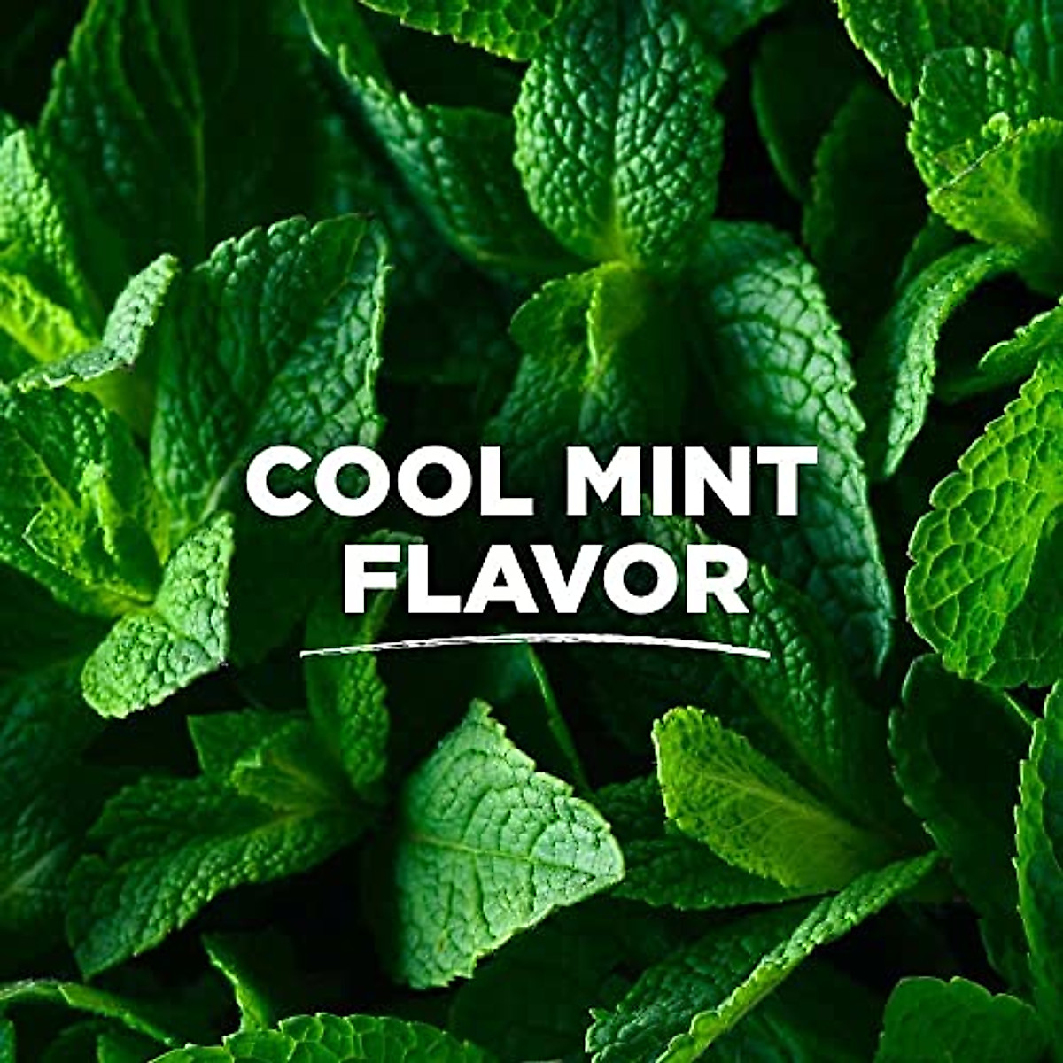 Tom's of Maine PureActiv Teeth + Gum Health* Anticavity Toothpaste Gel, Cool Mint, 4.0 oz.