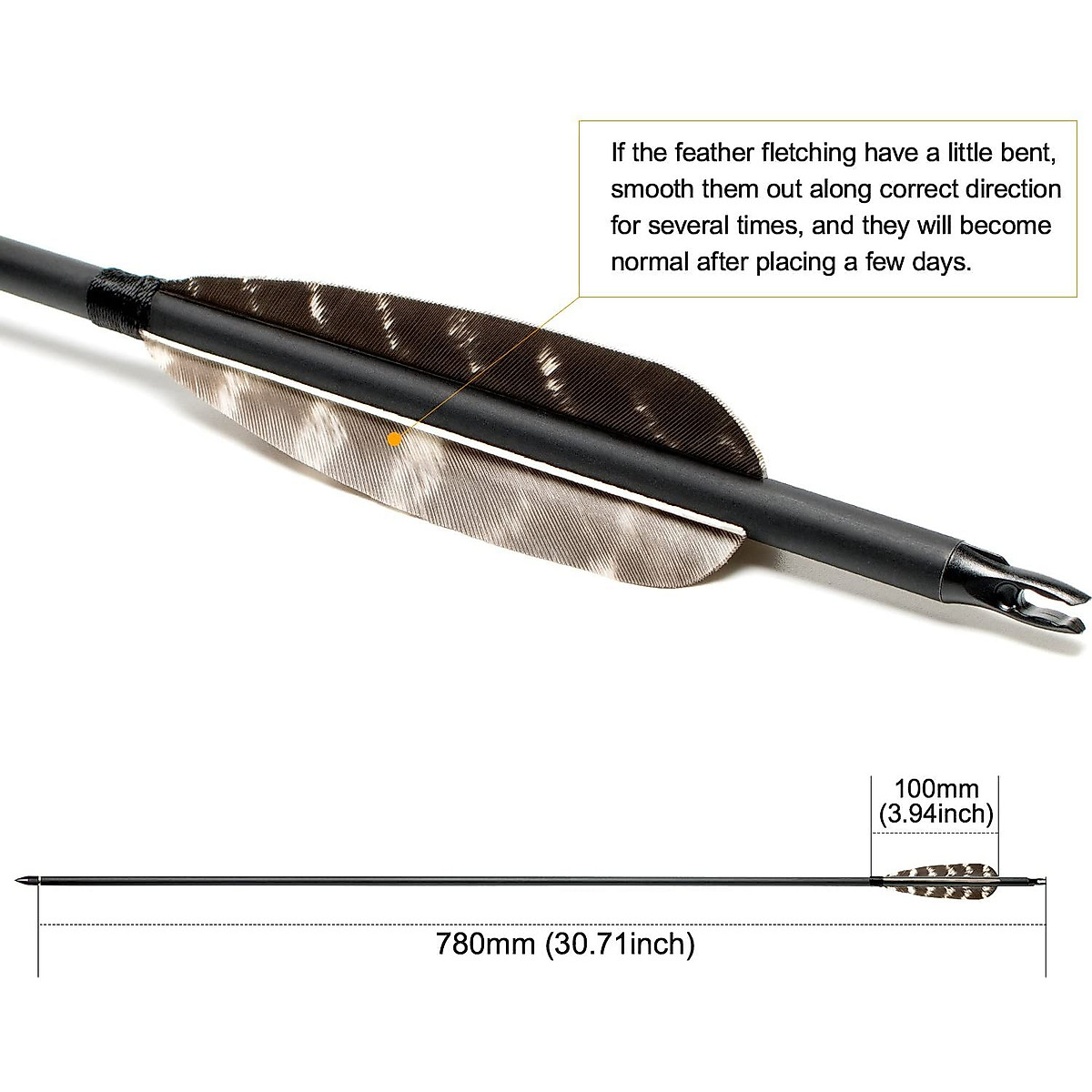 ARCHERY SHARLY 31Inch Carbon Targeting Practice Arrows Turkey Feather Fletching Arrows with Removable Tips for Recurve Traditional Long Bow (12 Pack)