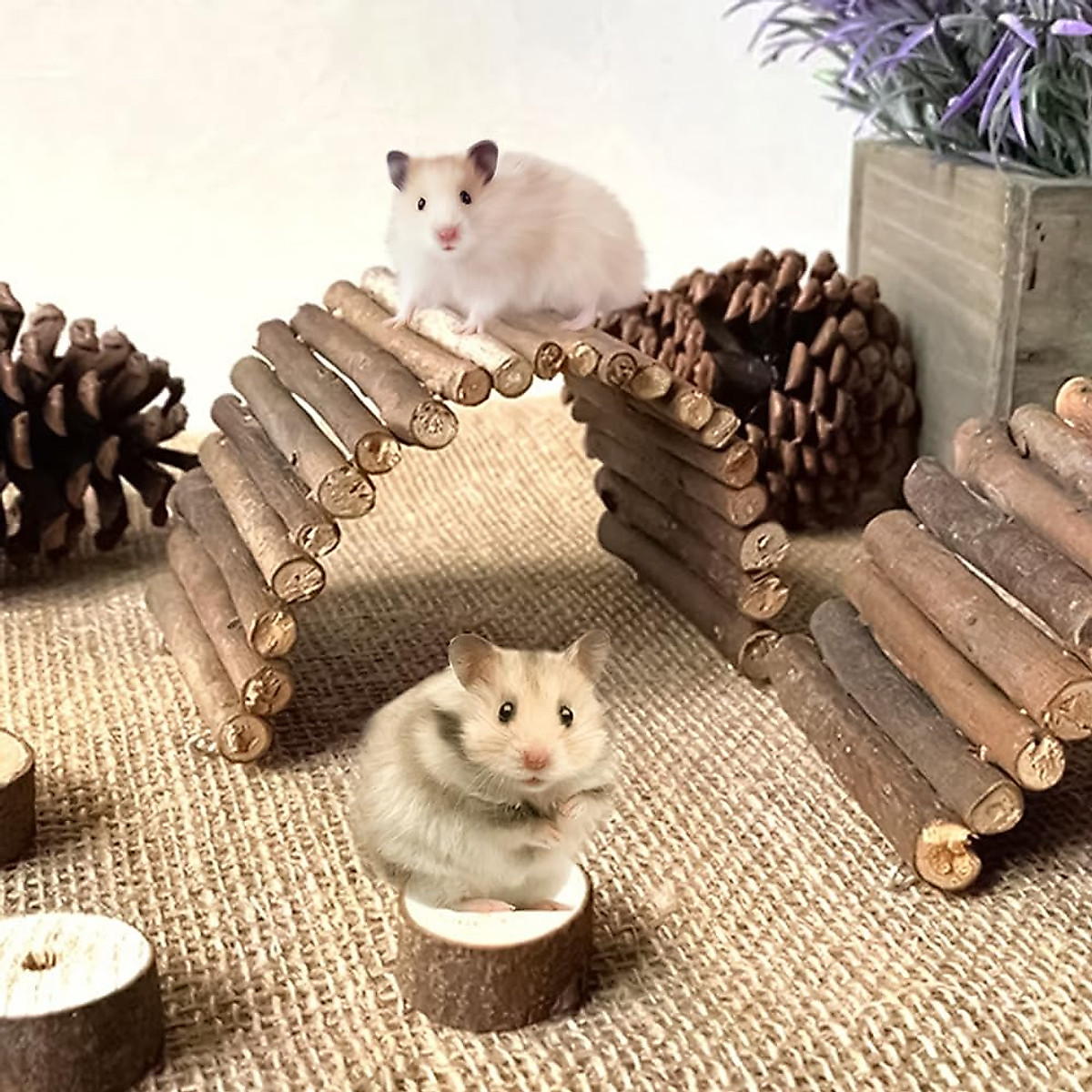 YASYU Hamster Wooden Bridge Bendable,Wooden Bendy Bridge Toys,Wooden Tunnel,Natural Rat Climbing Ladder,Small Animal Cage Accessory for Dwarf Syrian Hamsters Mice Guinea Pig Chinchilla