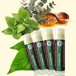 USDA Organic Lip Balm 4-Pack by Earth's Daughter- Eucalyptus Mint Flavor, Beeswax, Coconut Oil, Vitamin E - Best Lip Repair Chapstick for Dry Cracked Lips.