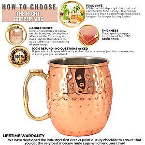 Kitchen Science [Gift Set] Moscow Mule Mugs, Stainless Steel Lined Copper Moscow Mule Cups Set of 6 (18oz) w/Straws, Jigger, Spoon & Brush | Tarnish-Resistant Stainless Steel Interior
