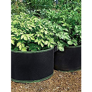 LINERY 1-Pack 50 Gallon Planting Bag Black Heavy Duty Thickened Large Capacity Upgrade Hemming Process Grow Bag with Handles Non-Woven Fabric Plant Pots (【1-50 G】)