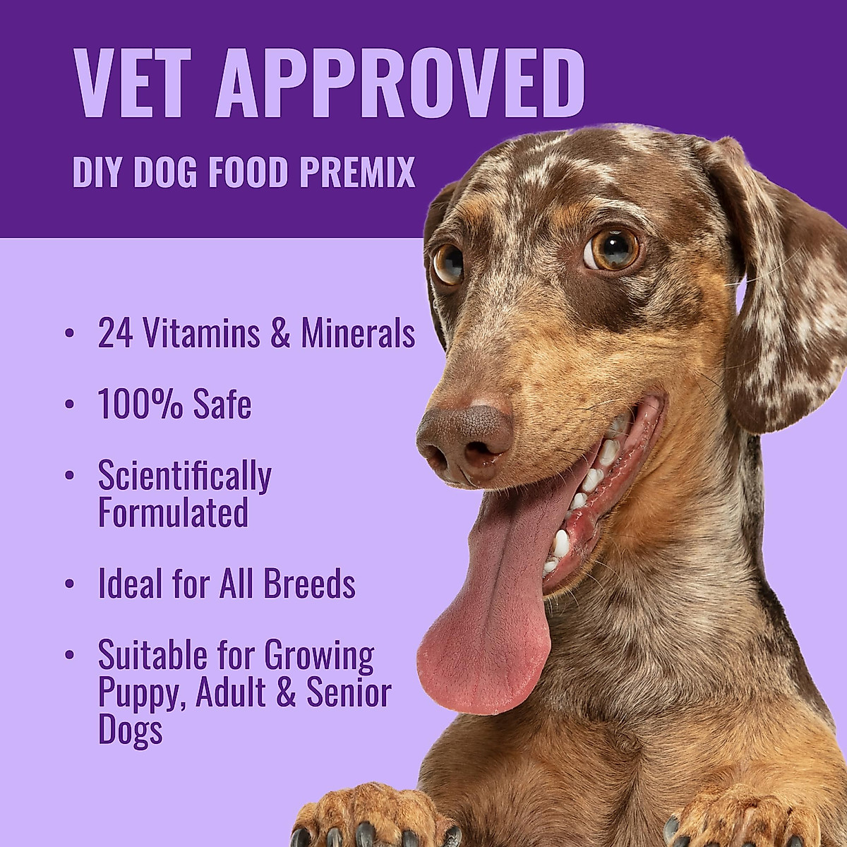 Dog Vitamins Supplements Raw and Homemade Dog Food Multivitamins Minerals Powder 1lb Veggie Flavor
