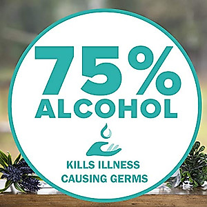 Dr. Talbot's Refreshing Gel Hand Sanitizer With Easy Pump, Fragrance Free, 8.5 Fl Oz