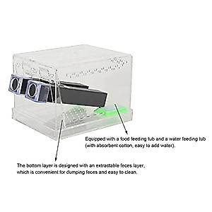 Velaurs Cricket Keeper, Cricket Keeper Tank Box Safe and Non- Easy to for Home for Office(L)