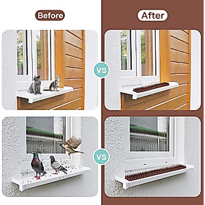 Bird Spikes, Bird Deterrent Spikes for Squirrel Raccoon Pigeon Animal Defender Spikes Anti Bird Spikes to Keep Birds Away (20 Pack)