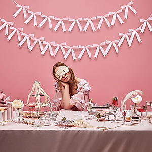 Fanfanwin 2 Pcs 5.3ft Pink Bow Garland Banner Party Decorations Coquette Birthday Decorations Pink Bow for Coquette Bachelorette Party Baby Bridal Shower Cake Smash Decor She's Tying The Knot 22 Bows