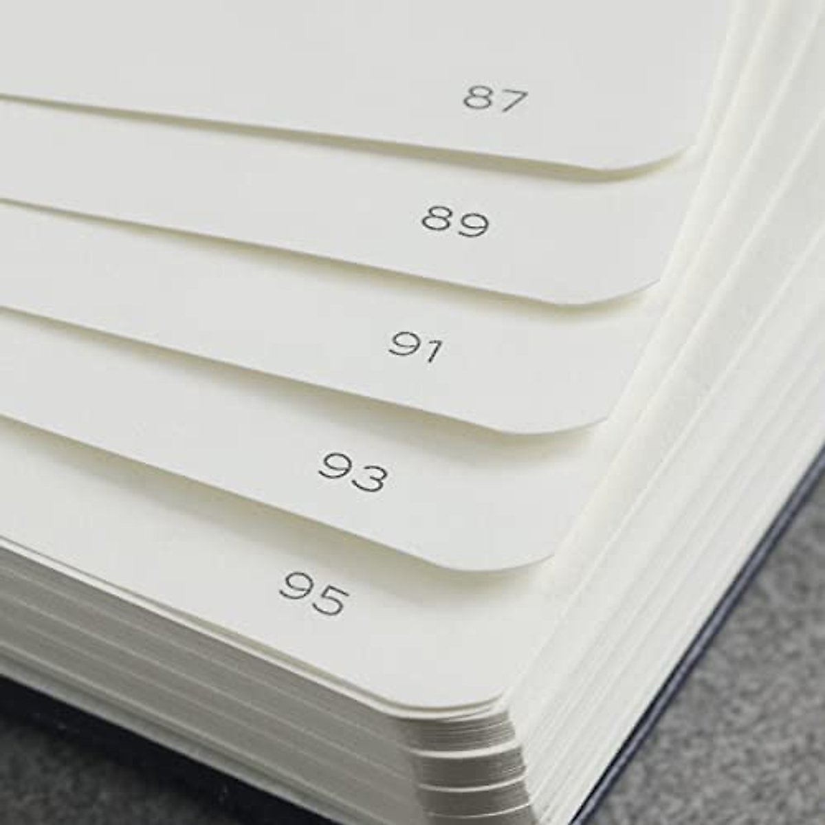 LEUCHTTURM1917 - Notebook Softcover Medium A5-123 Numbered Pages for Writing and Journaling (Dotted, Black)