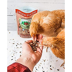 LITTLE FARMER PRODUCTS Chicken Fun-DOO Non-GMO, Soy-Free Chicken Treat | Premium Poultry Meal Worm, Vegetable & Herb Mix (3 lbs)