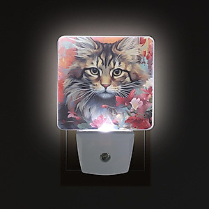 ZENWAWA Painting Longhair Cat Night Light Plug into Wall Decorative Auto Dusk to Dawn Sensor LED Night Lamp 2 Pack 3×4.5×1.4 in