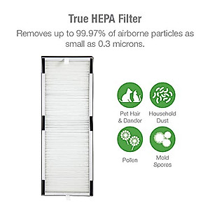 Hunter HP600 Tall Tower Air Purifier Features Energy Star Certification True HEPA Filter, Multiple Fan Speeds, Soft Touch Digital Control Panel, Sleep Mode, Timer, Accent Light, Graphite