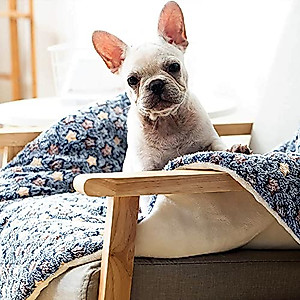 FJWYSANGU Pet Blanket Premium Fluffy Flannel Cushion Soft and Warm Mat for Dogs Cats Small Size Animal Blue Stars