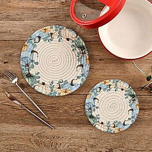 Blue Pumpkins Trivet Pot Holder 2 Pack Cotton Cotton Thread Weave Trivets for Hot Pots and Pans Stylish Coasters for Kitchen Baking Cooking Cups Dinning