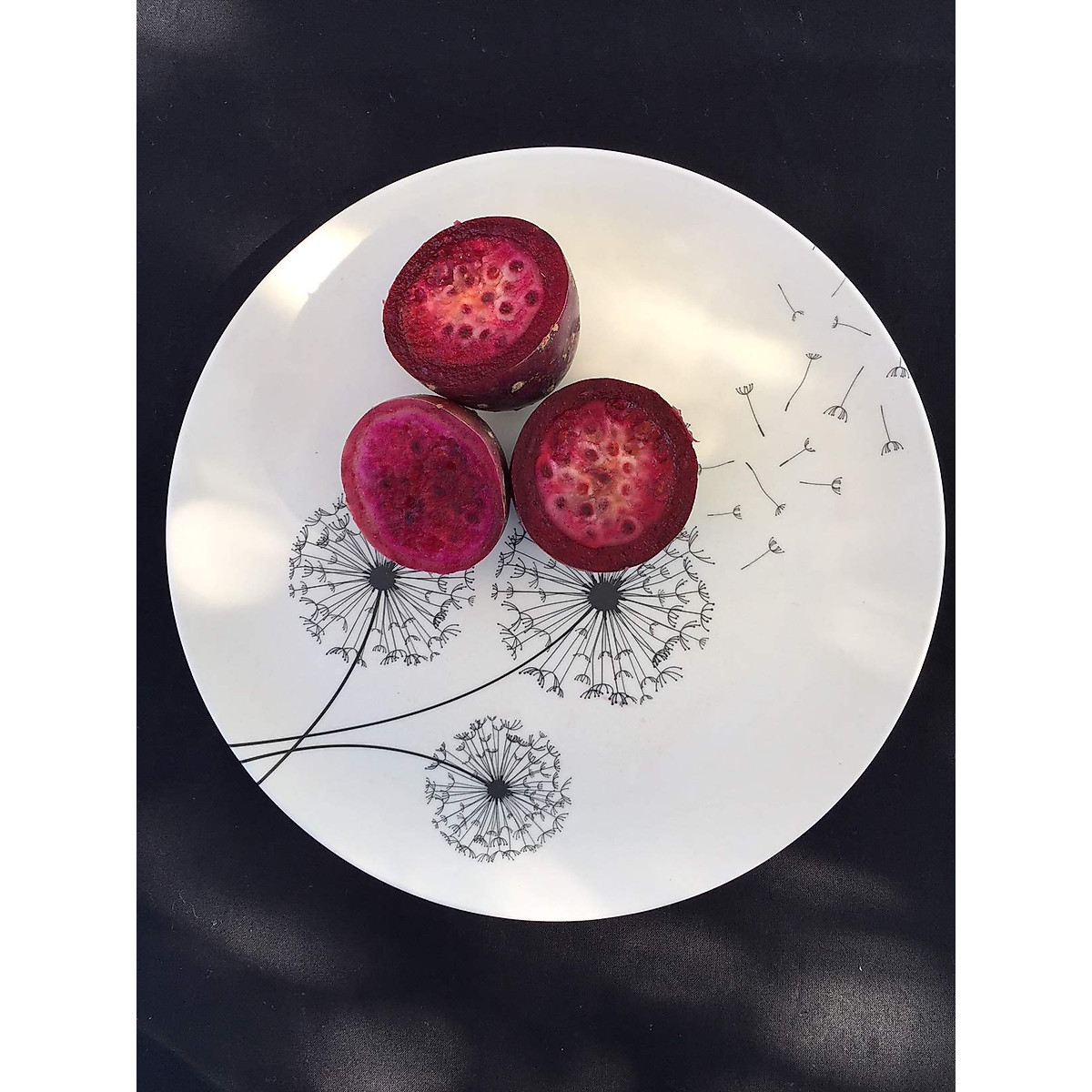 Aquaterra Living Ecofriendly Dinner Plate Set with Dandelion Designs- Set of 6, 10" indoor or outdoor plates