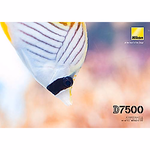 Nikon D7500 20.9MP DX-Format 4K Ultra HD DSLR Digital Camera (Body Only) - (Japan Import)