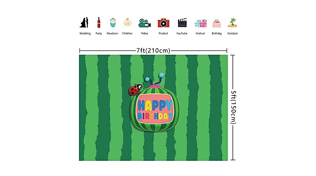 Cute Watermelon Backdrop for Kids' Birthdays and Parties