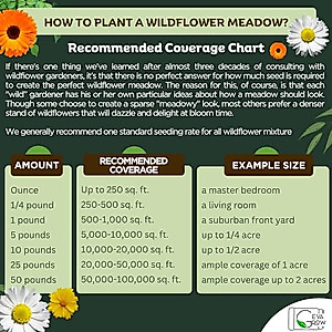 Mini Wildflower Seed Shaker - Save The Bees Seed Mix, by GevaGrow | 80,000+ Seeds | Pollinator & Bee Attracting Flower Seeds Bulk for Planting in Pots & Outdoor Gardens | 2 Ounce