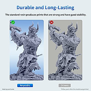 ANYCUBIC 3D Printer Resin, 405nm SLA UV-Curing Resin with High Precision and Quick Curing & Excellent Fluidity for LCD 3D Printing (Grey, 1kg)