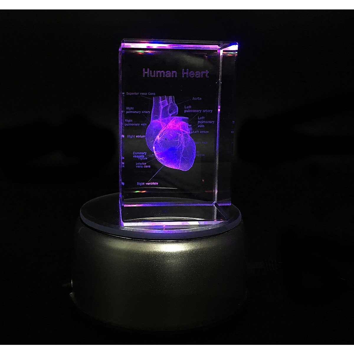 3D Human Heart Anatomical Model Paperweight(Laser Etched) in Crystal Glass Cube Science Gift (No Included LED Base)(3.1x2x2 inch)